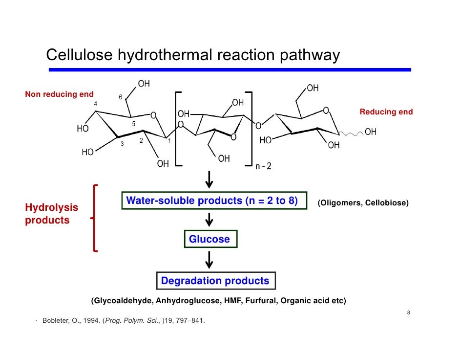 Cellulose hydrolysis in subcritical water
