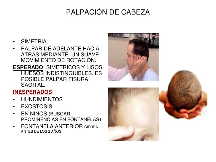 Exploracion de Cabeza y cuello