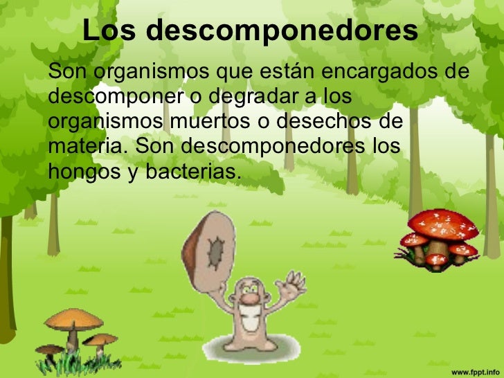 Cadena alimentaria