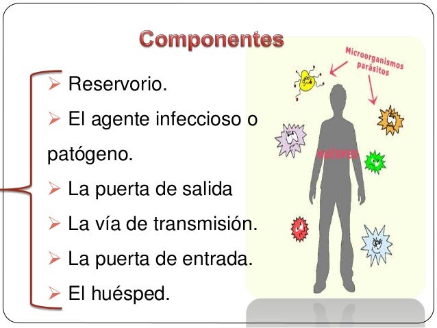 Cadena Infecciosa