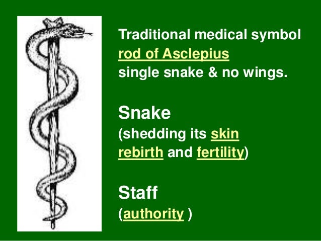 Caduceus caduceus