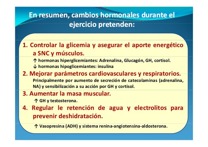 Cambios Hormonales Durante El Ejercicio