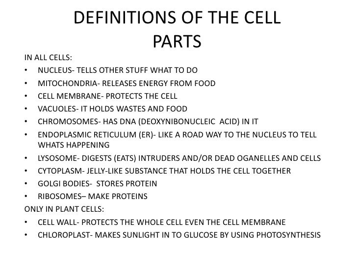 Cells Cells