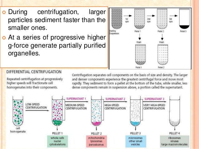 Centrifugation principle and types