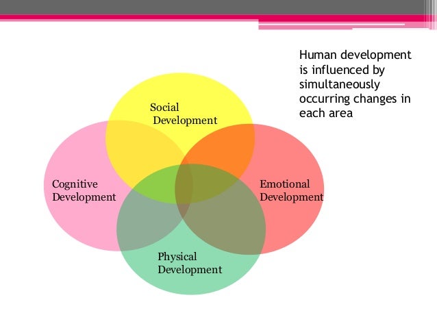 Chap 4 lifespan development 2012