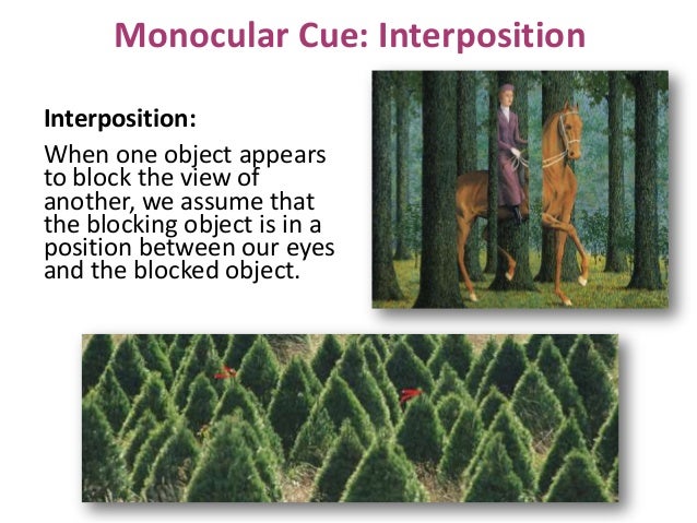 PSY 150 403 CHAPTER 6 SLIDES