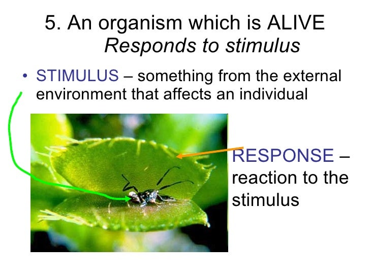 Characteristics Of Life