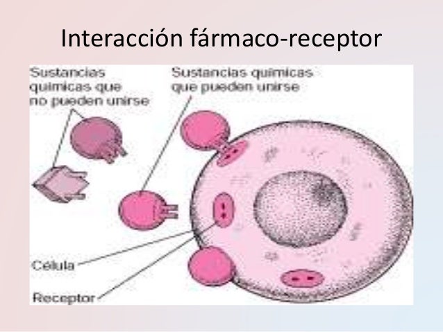 Clases farmacodinamia