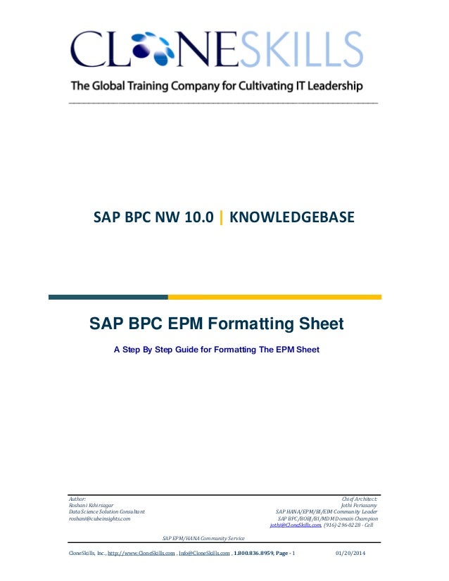 Step By Step Guide To Formatting The Sap Bpc Epm Sheet