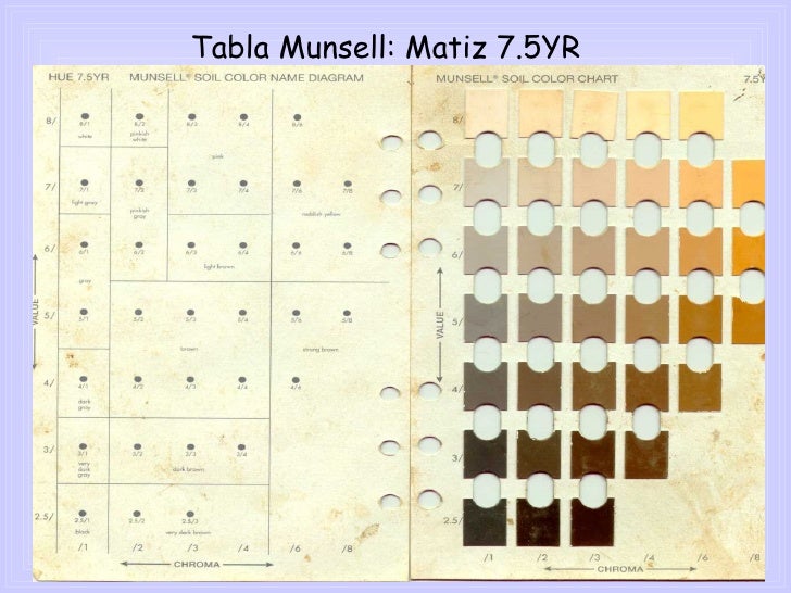 7.5 yr images - usseek.com