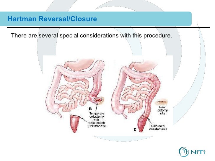 Combined 12 clinical training--surgical procedures