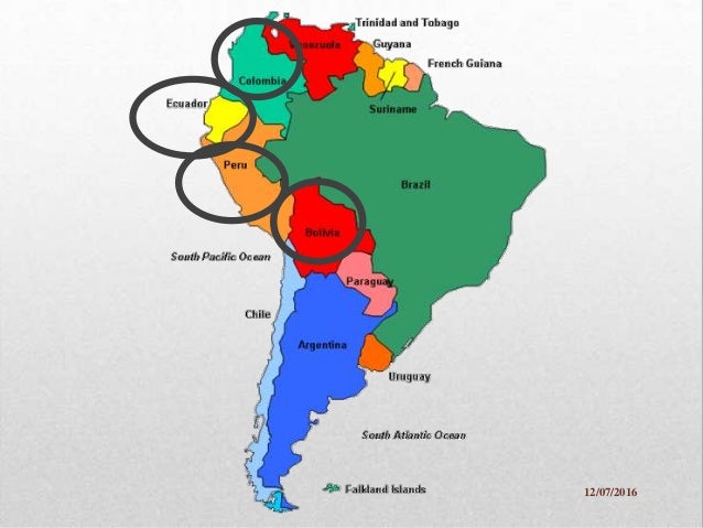 Comunidad andina de naciones