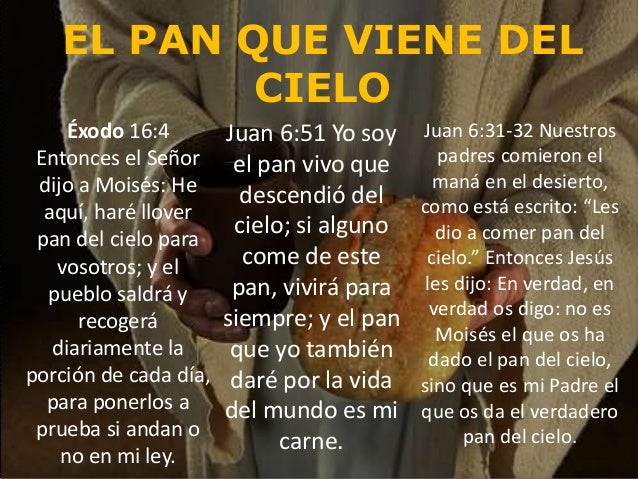 Conociendo El Pan De Vida