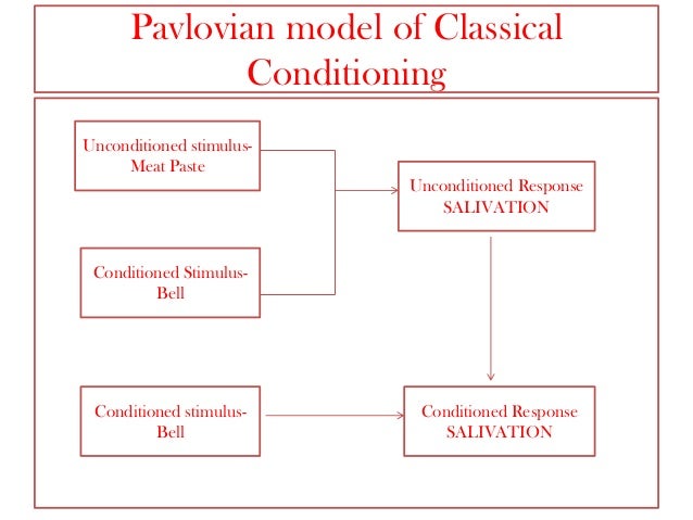 The Pavlovian Learning Model - Classical conditioning