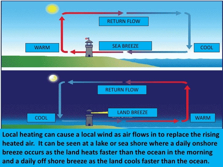 Role Of Convection In Creation Of Winds
