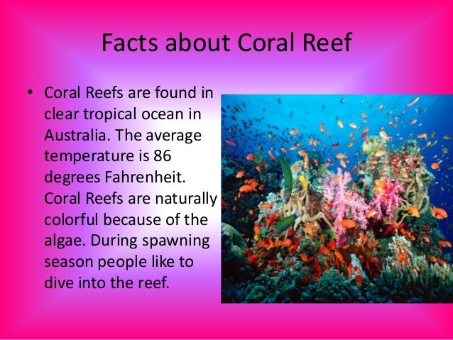 Coral reefs