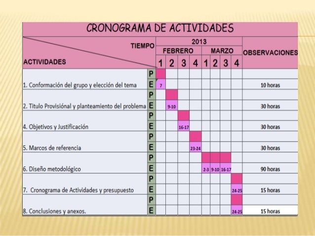 Cronograma De Actividades