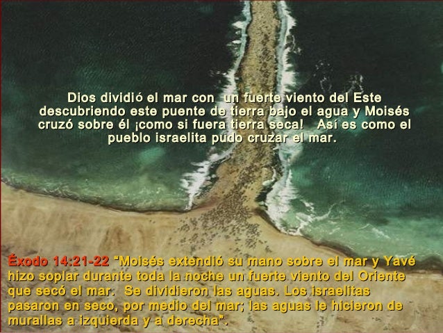 Cruce del Mar Rojo. Descubrimientos de Ron Wyatt.