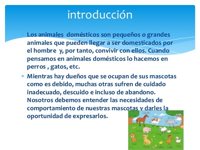 Mascotas domésticas