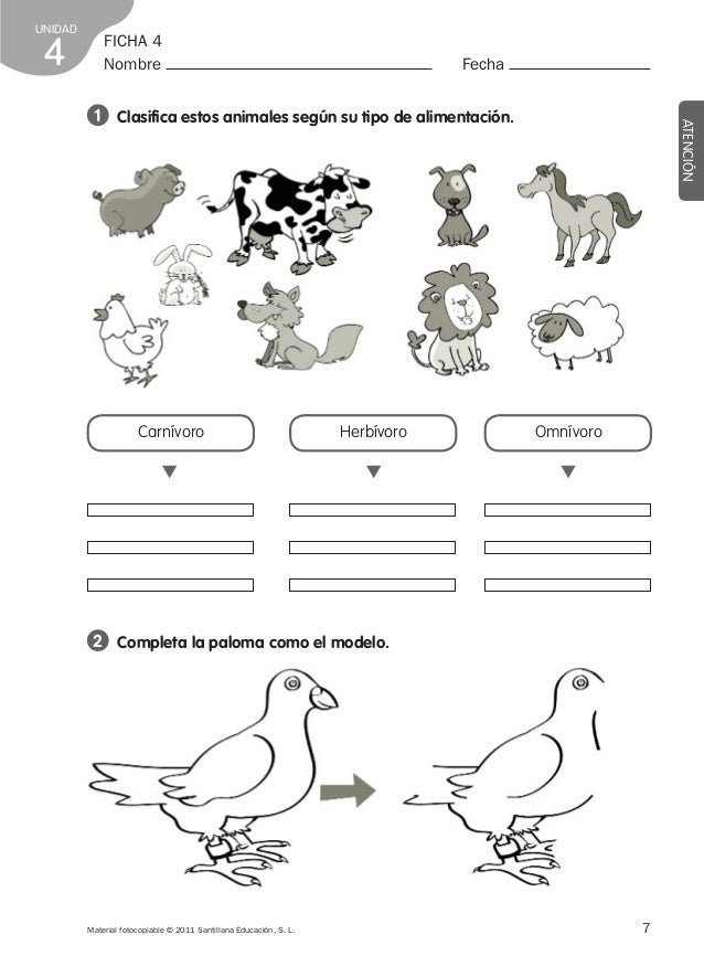 Educación Primaria: Conociendo el Medio: LOS ANIMALES Y SU ALIMENTACIÓN