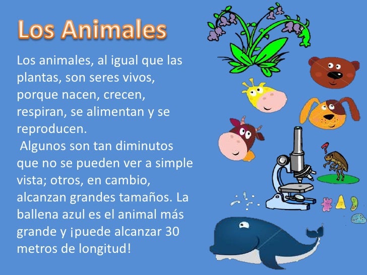 Desarrollo del tema mundo animal