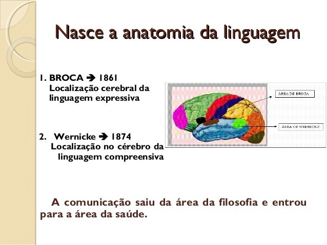 Desenvolvimento da Fala e da Linguagem Desenvolvimento da Fala e da Linguagem