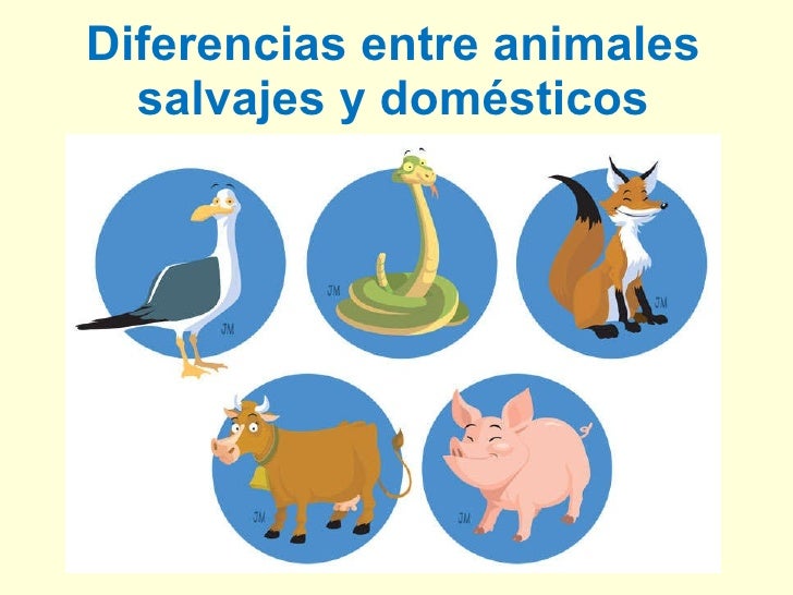 Nombres de animales domesticos y salvajes en ingles - Imagui Nombres de animales domesticos y salvajes en ingles - Imagui