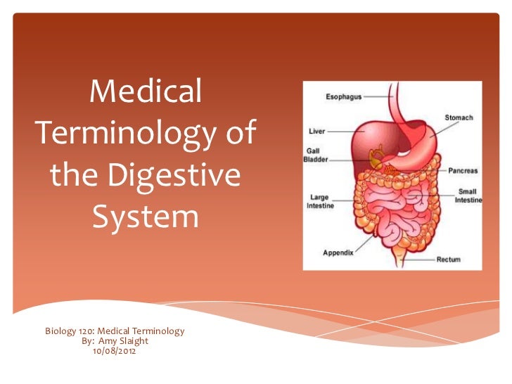 Digestive System Medical Terminology