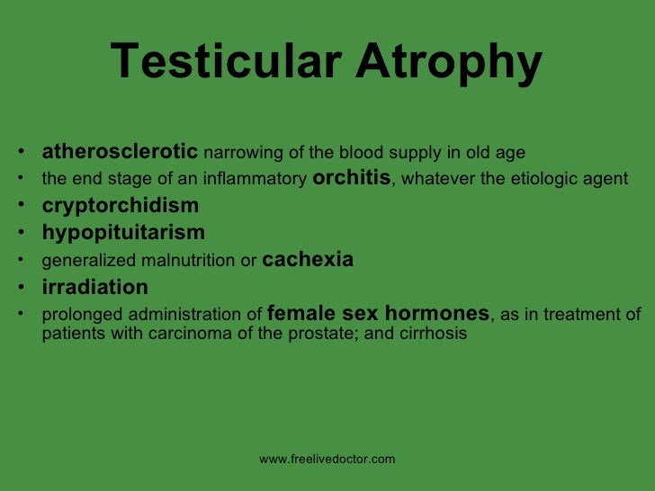 Diseases Of Male Genital System
