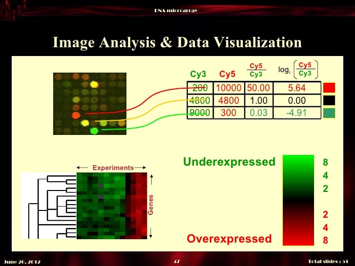 Dna Microarray