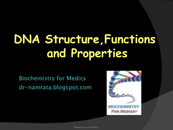 Dna Structure Properties Types And Functions