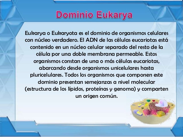 Dominio Eukarya