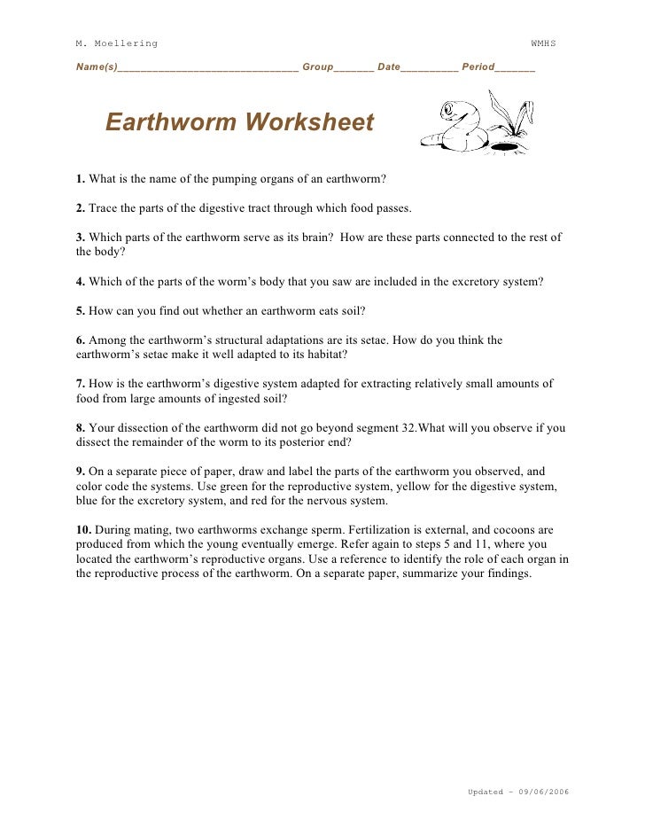 Earthworm Dissection Worksheet Earthworm Dissection Worksheet