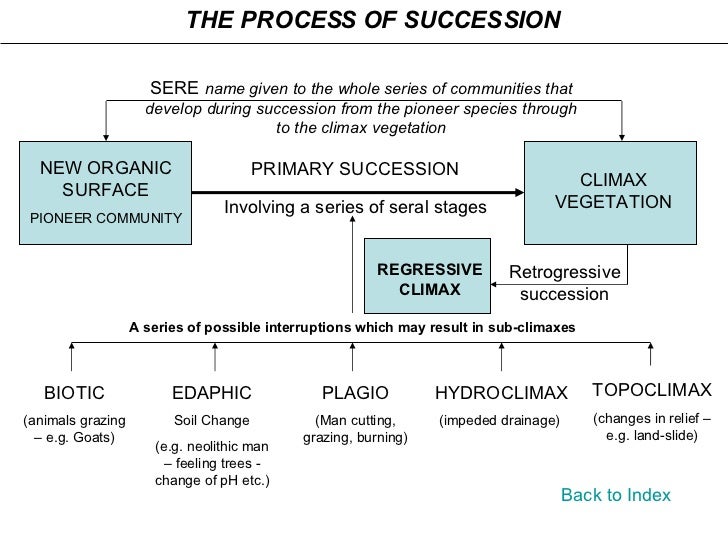 Ecosystems - Succession and Key Terms