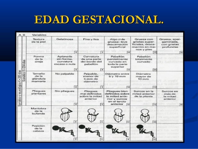 Edad Gestacional