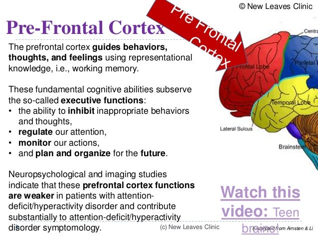 Executive Functioning: for teachers