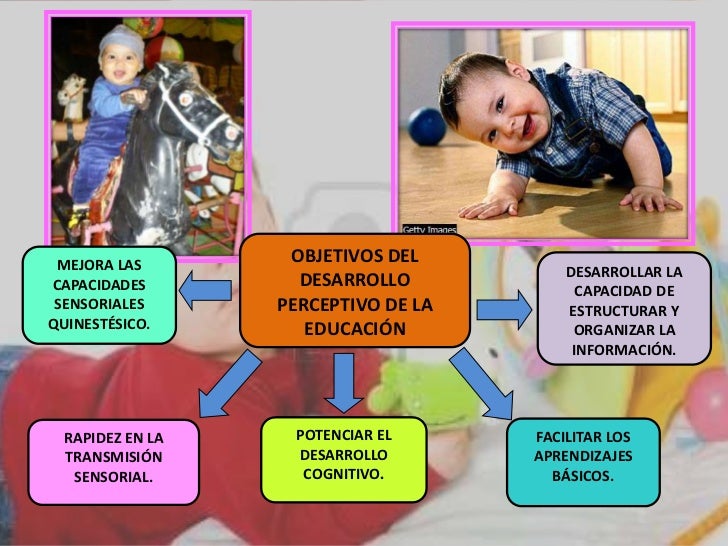 El desarrollo perceptivo del niño