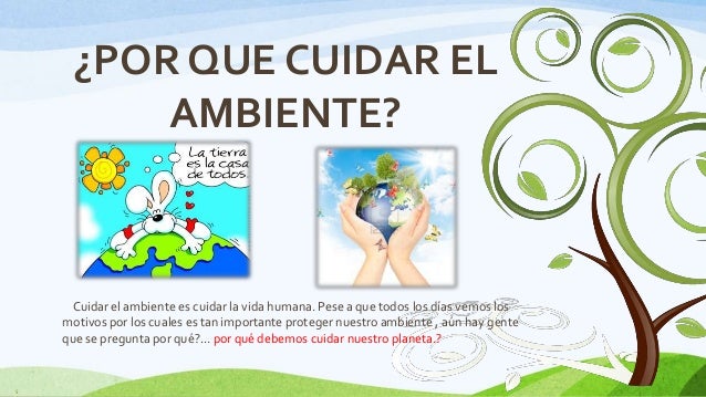 consejos: ¿POR QUE CUIDAR EL MEDIO AMBIENTE?