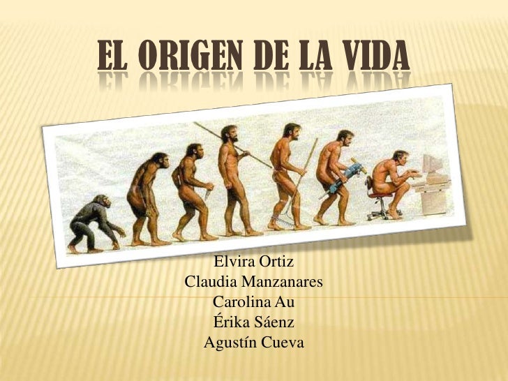 El origen de la vida El origen de la vida