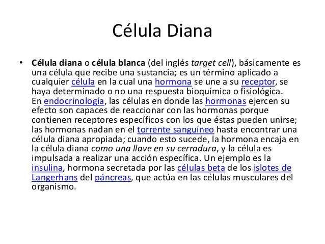 El sistema endocrino, trabajo de biologia y conducta