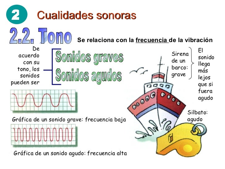 blog de CONO de sexto: TEMA 5
