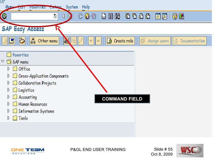 SAP END USER TRAINING MM01& ME51 N