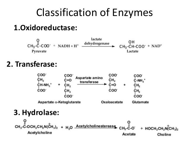 Enzymes
