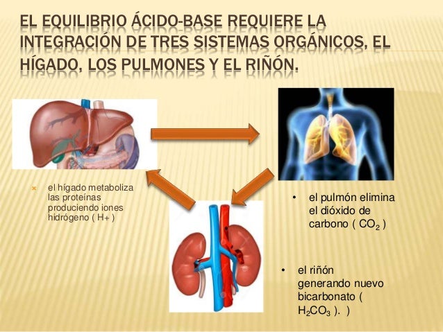 Equilibrio acido-base