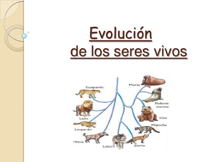 Evolución de los seres vivos