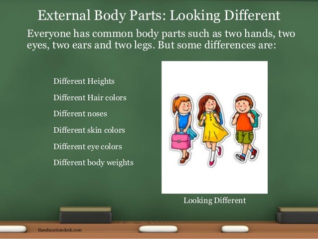 External Body Parts
