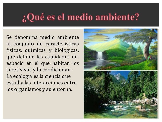 El Medio Ambiente Y La Relacin Con Los Seres Vivos By El Medio