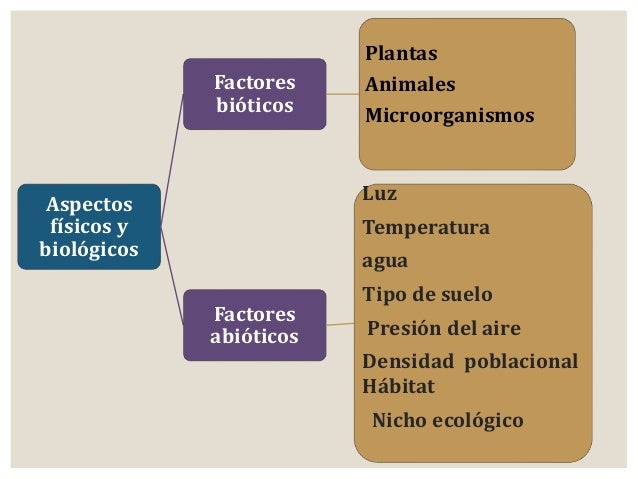 medio ambiente: La relacion de los seres vivos con el medio ambiente