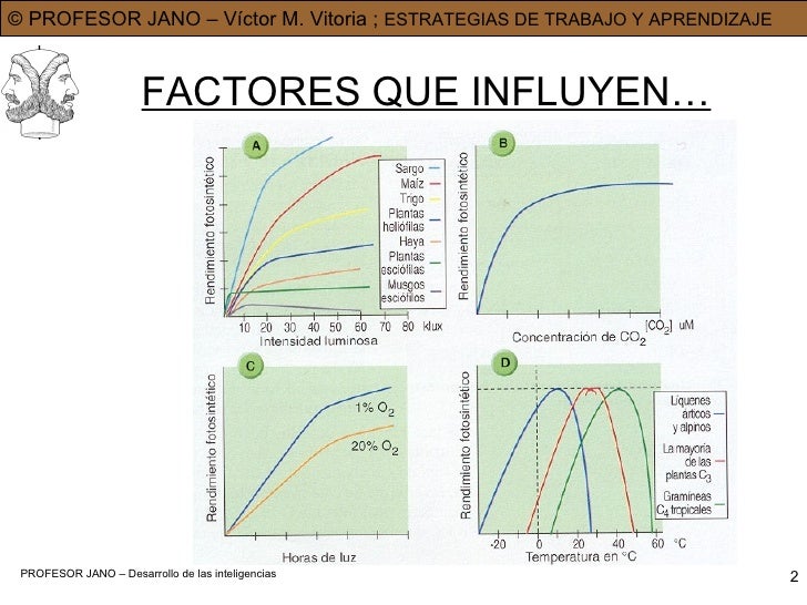 FACTORES QUE INFLUYEN EN LA FOTOSÍNTESIS FACTORES QUE INFLUYEN EN LA FOTOSÍNTESIS