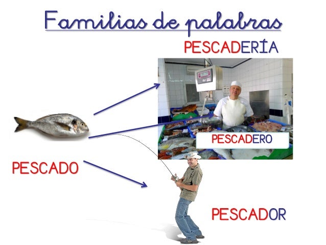 Familia de palabras